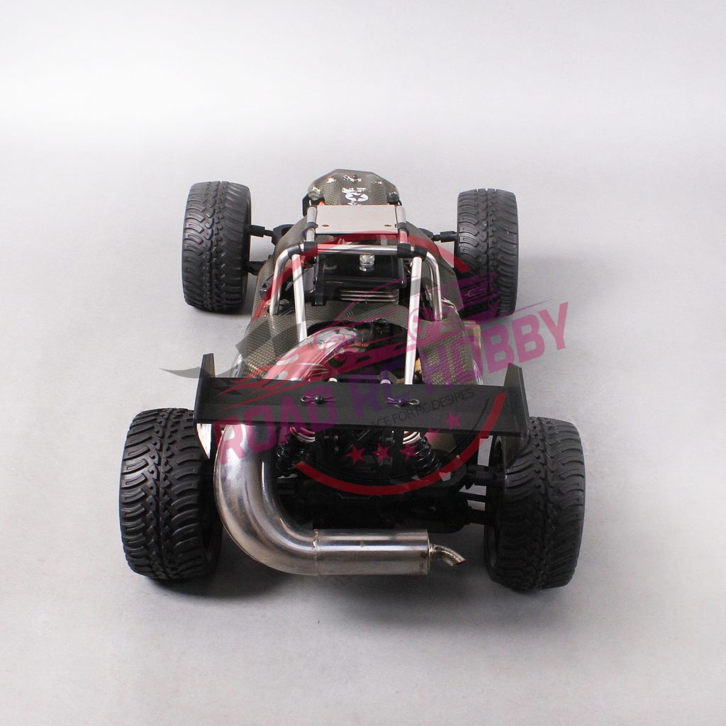 Reely Carbon Fighter III 1:6 RC Petrol Buggy RWD – Road RC Hobby – Huge ...